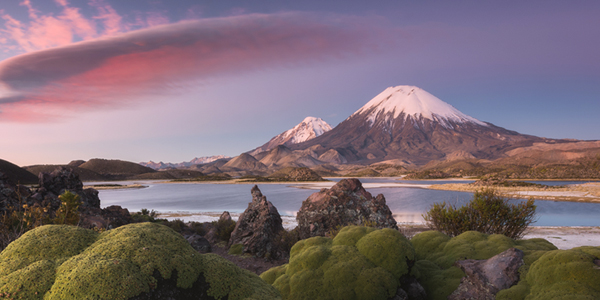 MountainBuilding_600x300 | Annual Reviews News